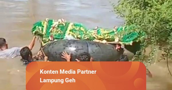 Miris! Tak Ada Jembatan, Warga Pesbar, Lampung, Sebrangi Sungai Bawa ... Miris! Tak Ada Jembatan, Warga Pesbar, Lampung, Sebrangi Sungai Bawa ...